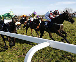 Horse Racing Syndicates | Horse Racing Syndicates | Racehorse ...